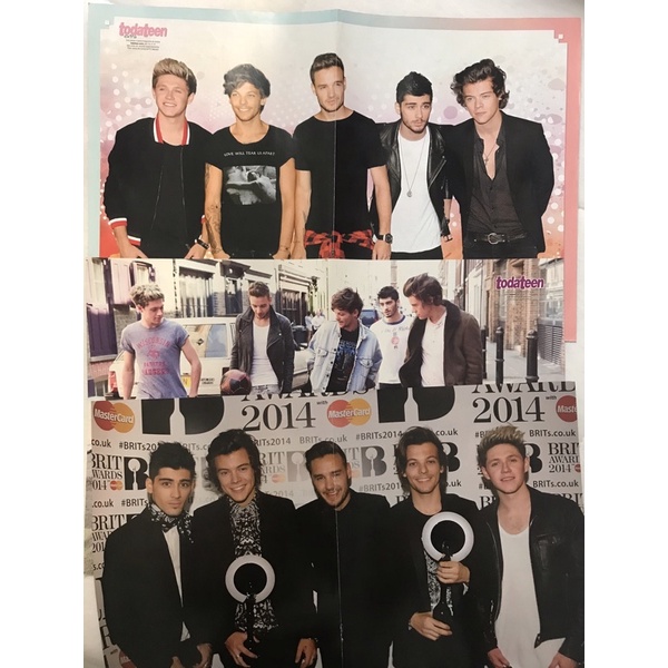 Pôsteres One Direction - Escolha o seu | Shopee Brasil