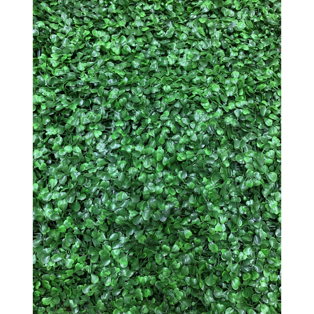 Placa buchinho buxinho tapete de grama artificial cheio 40x60 jardim ...