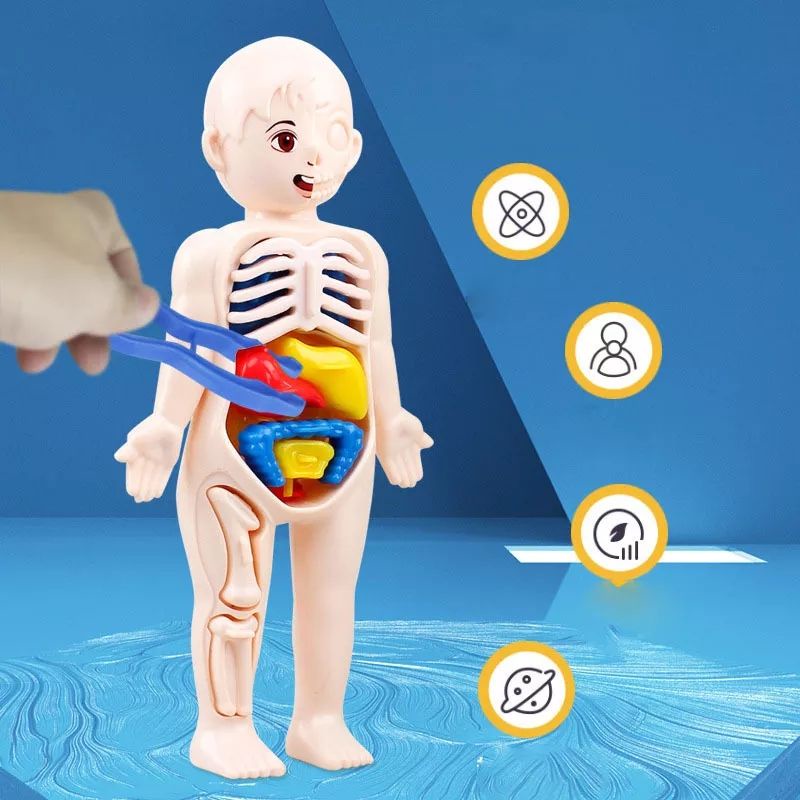 Boneco corpo humano | Shopee Brasil