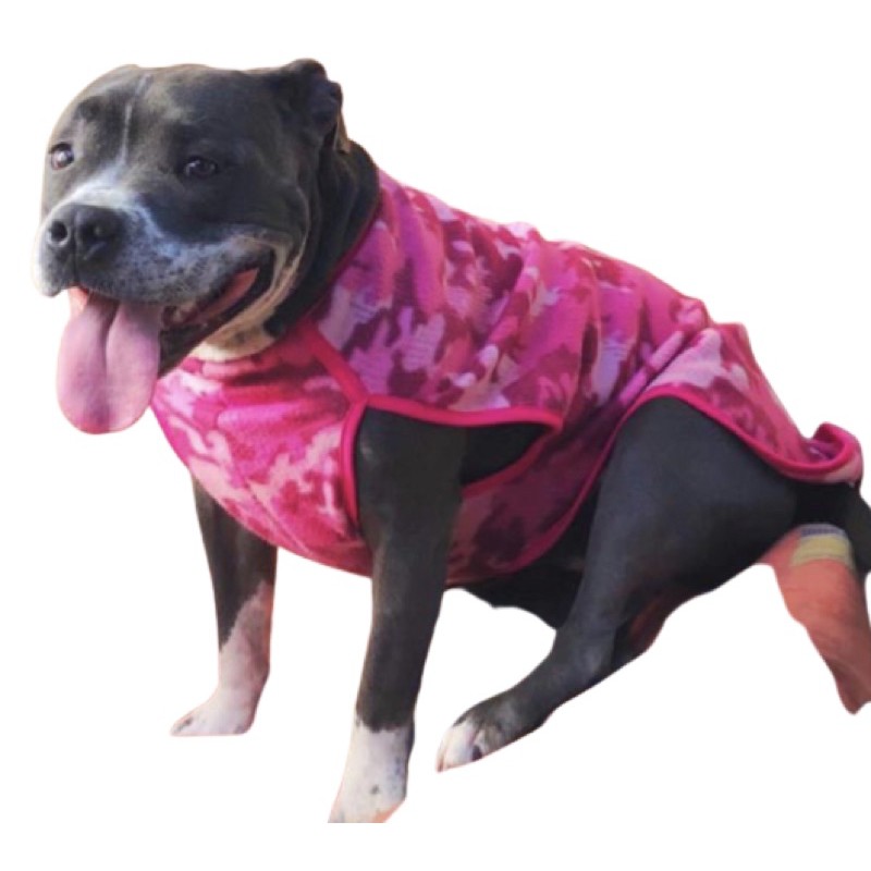 Roupinha para cachorro em Soft vários tamanhos ,roupa pet frio inverno ...
