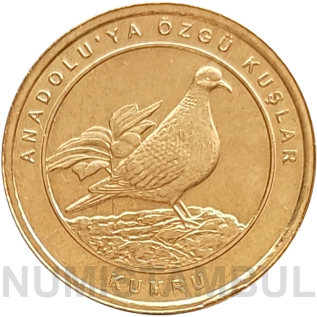 Turquia - 1 kurus 2021 (rolinha) | Shopee Brasil