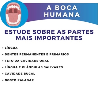 Poster A Boca Humana Mapa Anatomia Corpo Humano Medicina dentes ...