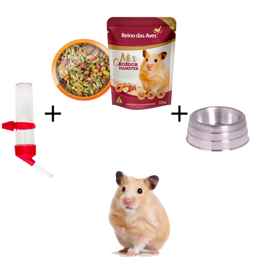 Kit Básico para Hamster - Ração Comida Hamster, Comedouro Roedores e ...