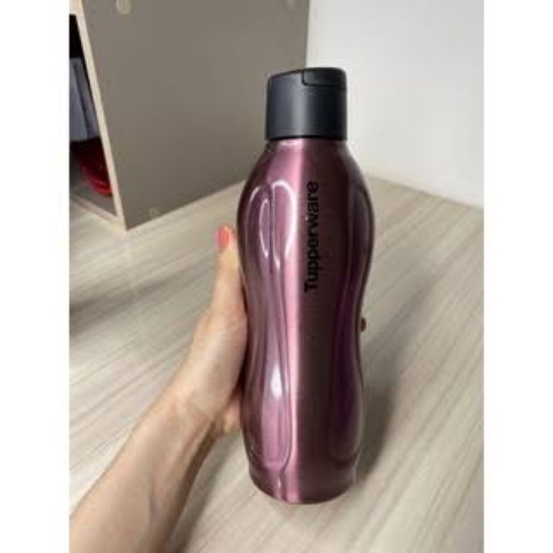 Garrafa Tupperware Eco Tupper Plus Inox 880ml | Shopee Brasil