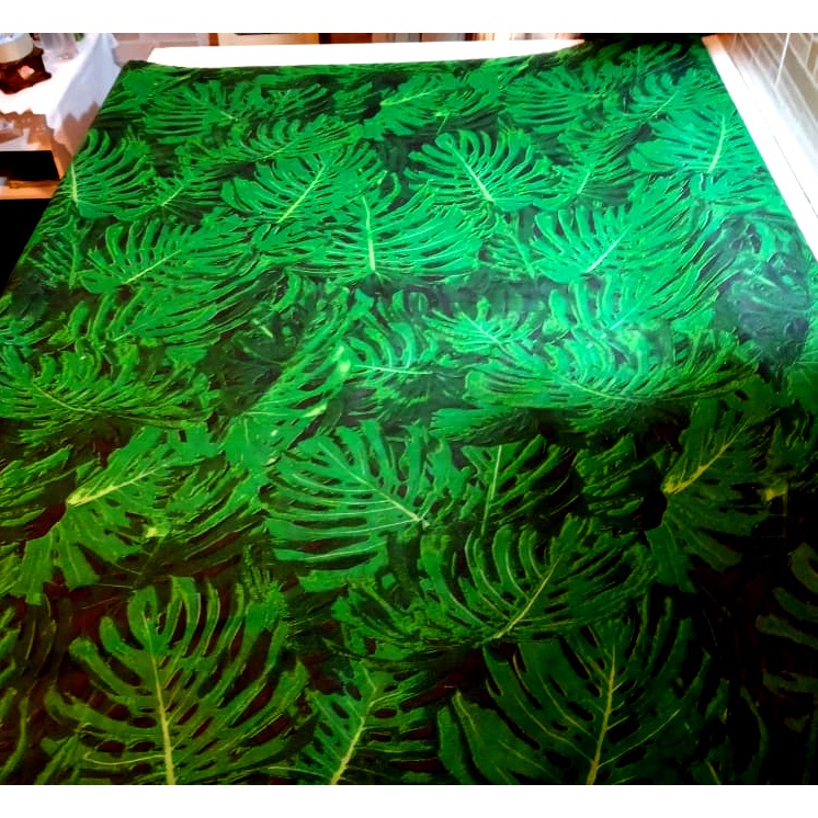 TNT Estampado Folha Costela de Adão 1.00m a 6,00m | Shopee Brasil