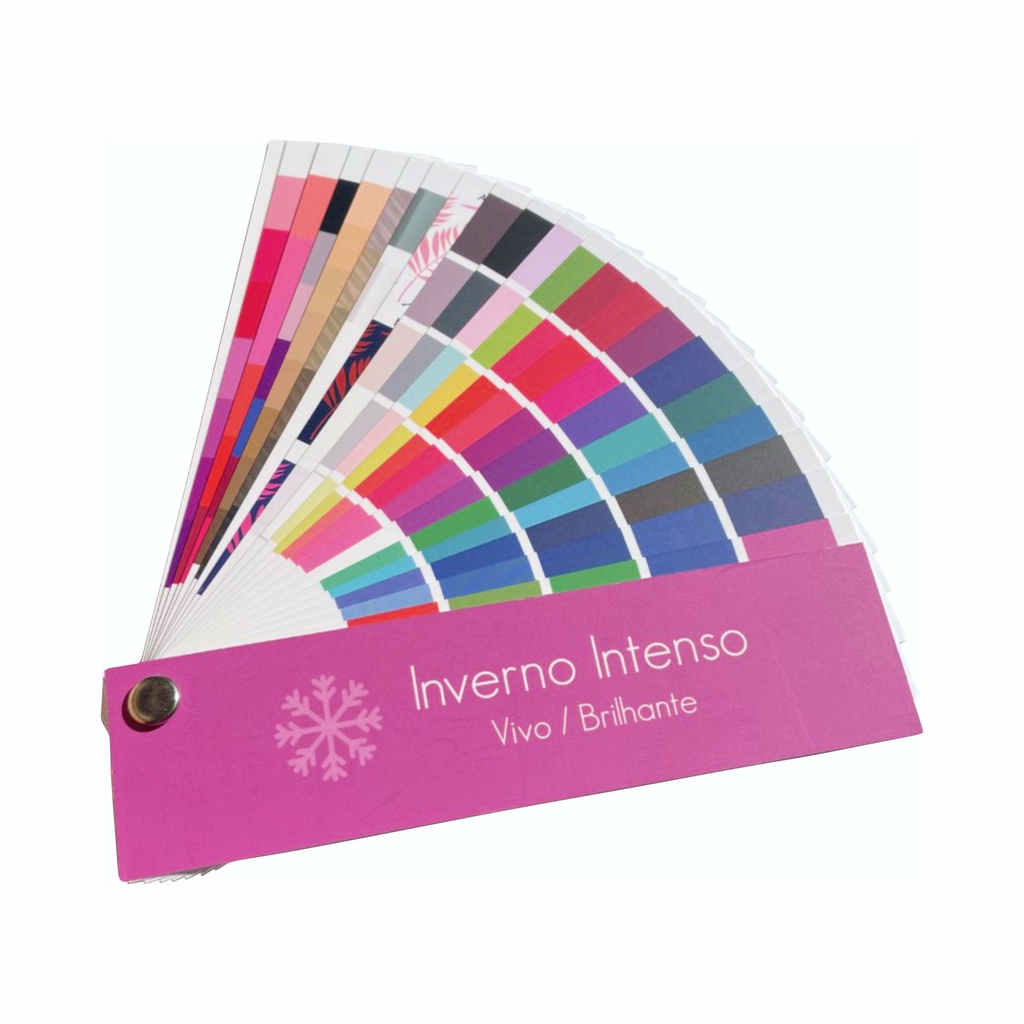 Paleta de Cores Todas Opções: Primavera Verão Outono Inverno Coloração ...