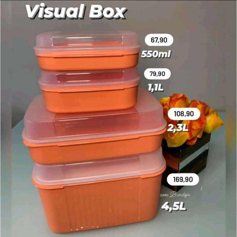 Visual Box Tupperware | Shopee Brasil