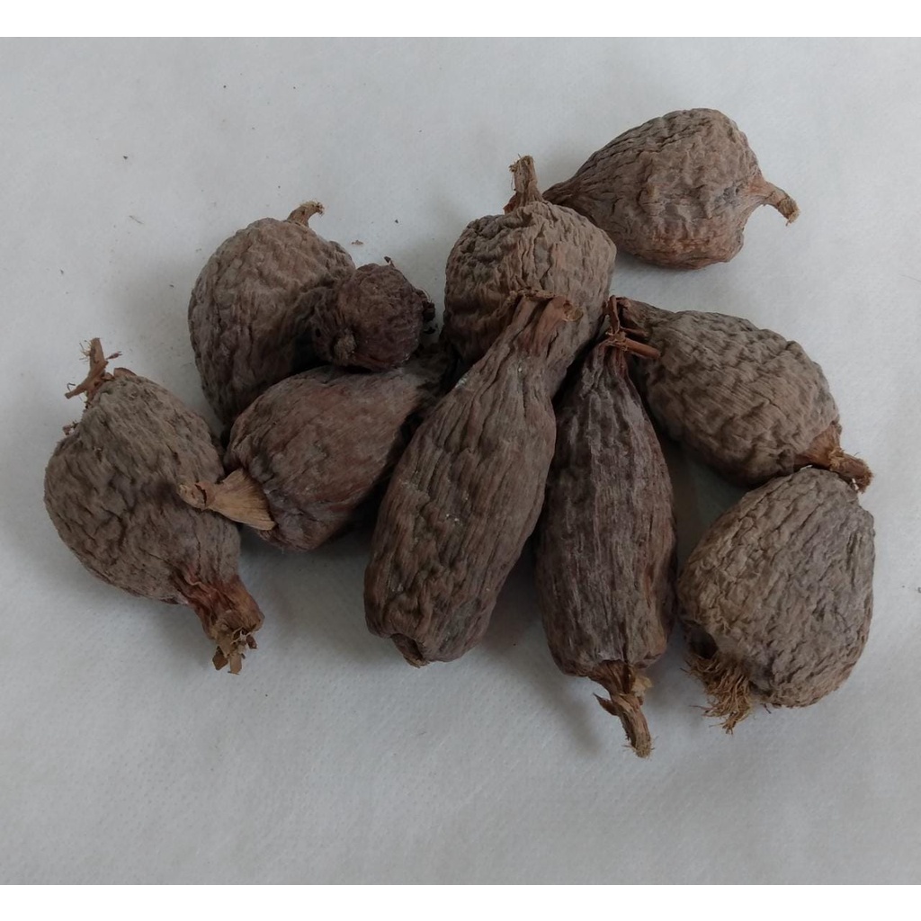 Fava de Ataré Africano/ Pimenta da Costa Africana | Shopee Brasil