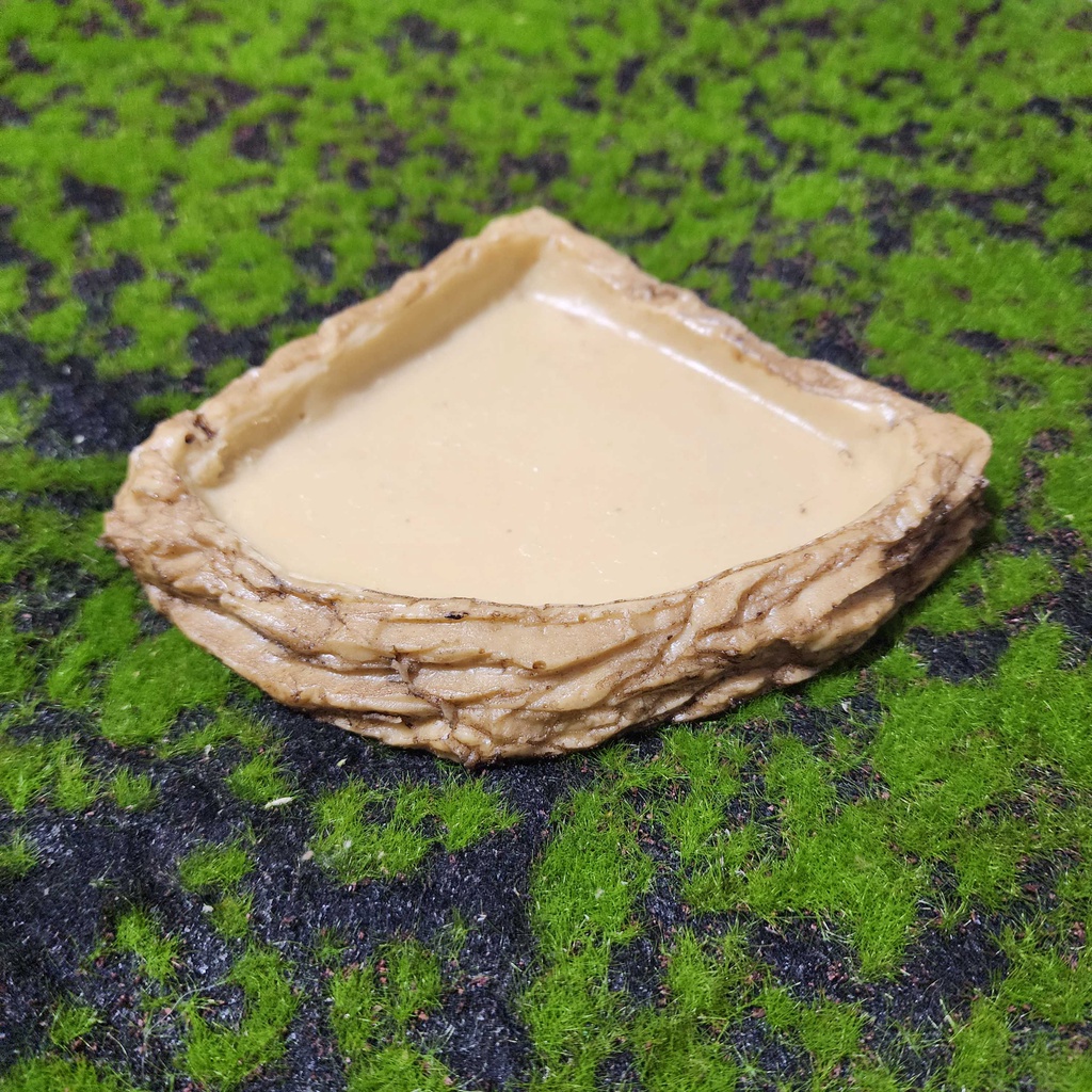 Cr 023, Comedouro Médio Canto Jabuti, Tartaruga, Pogona, Teiu, Tiliqua, Réptil, Répteis ...