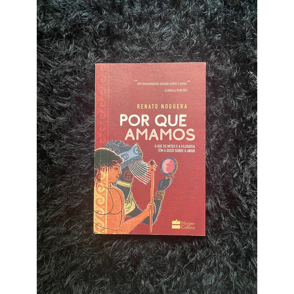 Livro Por que amamos? - Renato Nogueira | Shopee Brasil