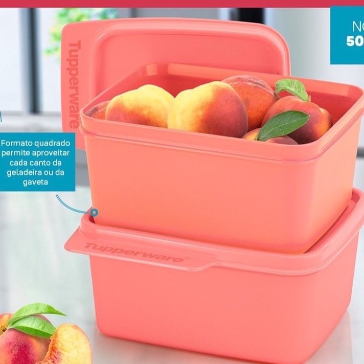 Kit 2 Basic Line 500 ml Tupperware | Shopee Brasil