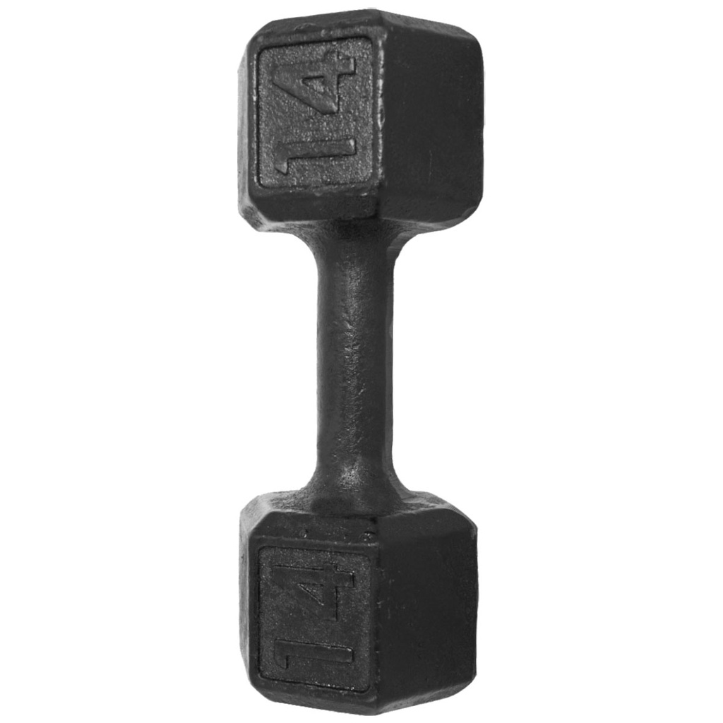 Halter Sextavado Pintado 14Kg Para Treino De Musculação E Crossfit Em ...