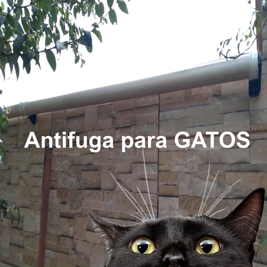 Cerca Pet - Cerca anti fugas 10 metros | Shopee Brasil