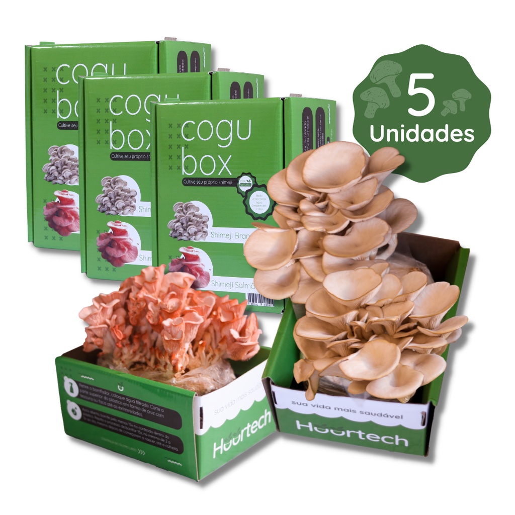 Combo 5 Cogubox: 4 Shimeji Branco E 1 Shimeji Salmão | Shopee Brasil