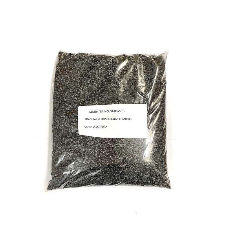 Sementes de Brachiaria Humidícola cv. Llanero (Dictyoneura) - 500gr de ...