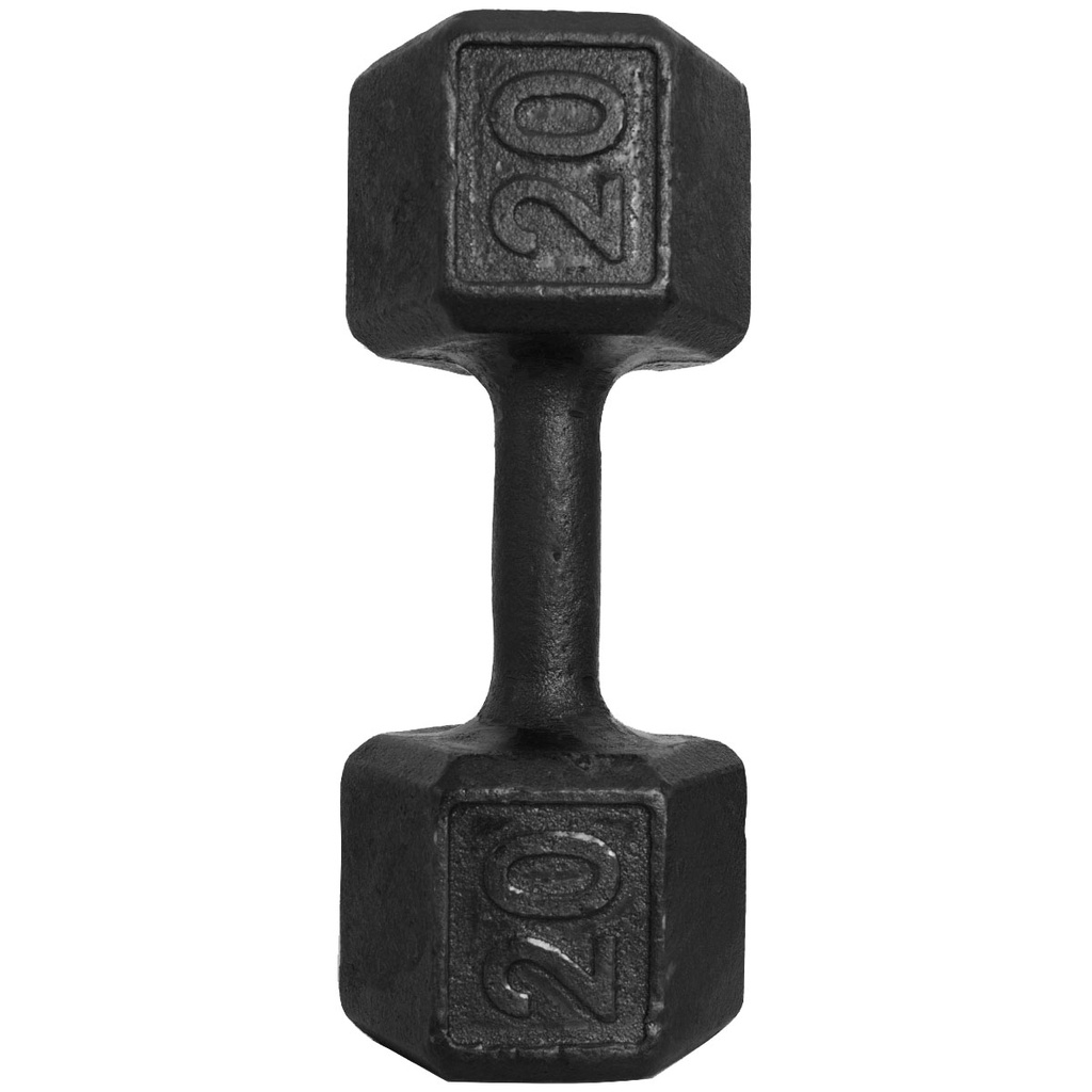 Halter Sextavado Pintado 20Kg Para Treino Em Casa E Em Academia De ...