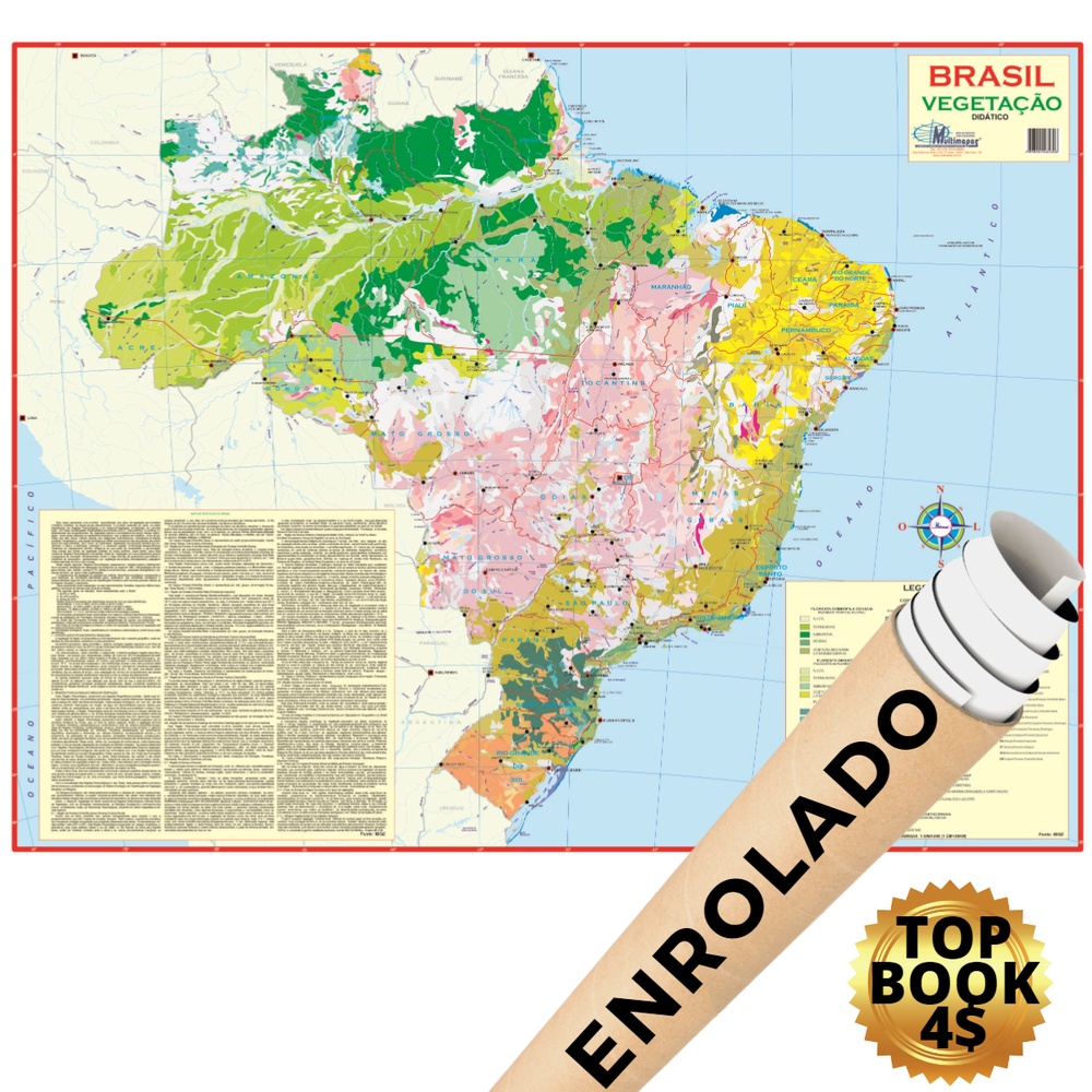 Mapa Brasil Vegetação Didático Vegetal Poster Escolar | Shopee Brasil