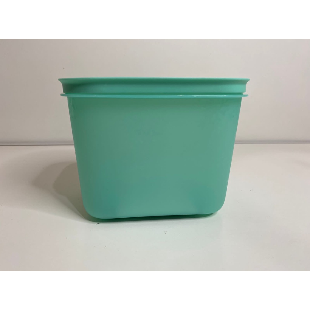 Freezer Line Tupperware 1,1L | Shopee Brasil