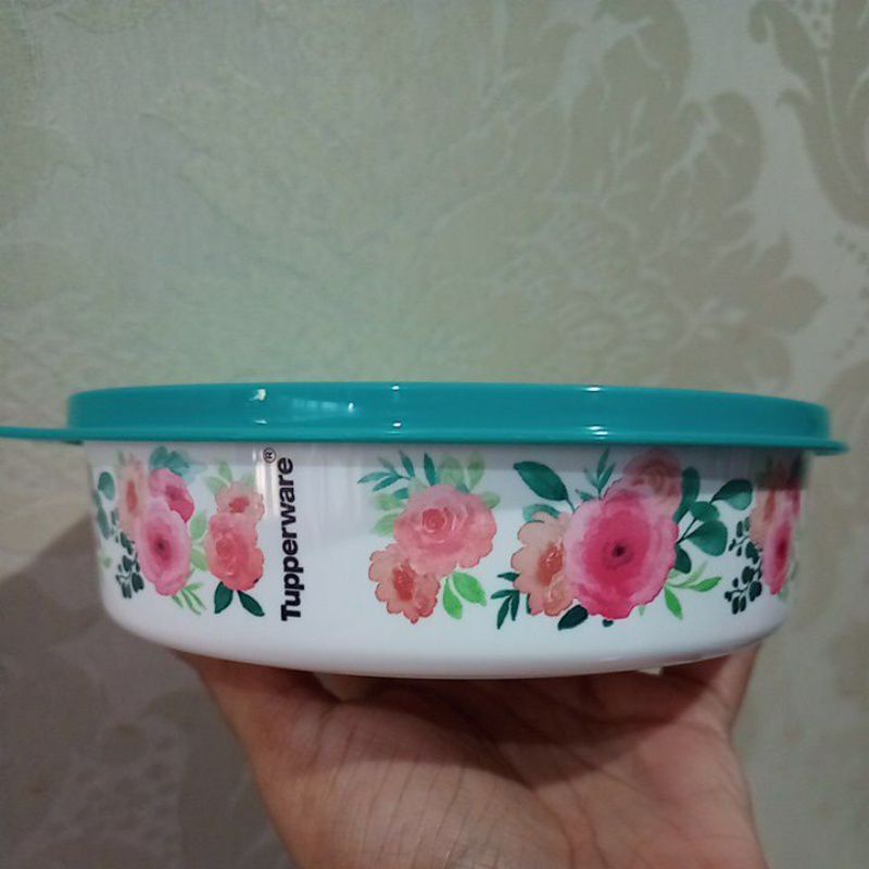 Tupperware Tupper Pratinho Aquarela 500ml | Shopee Brasil