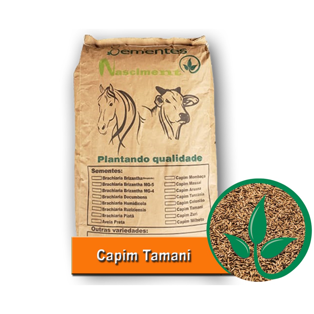 1kg Sementes de capim BRS tamani para plantar | Shopee Brasil