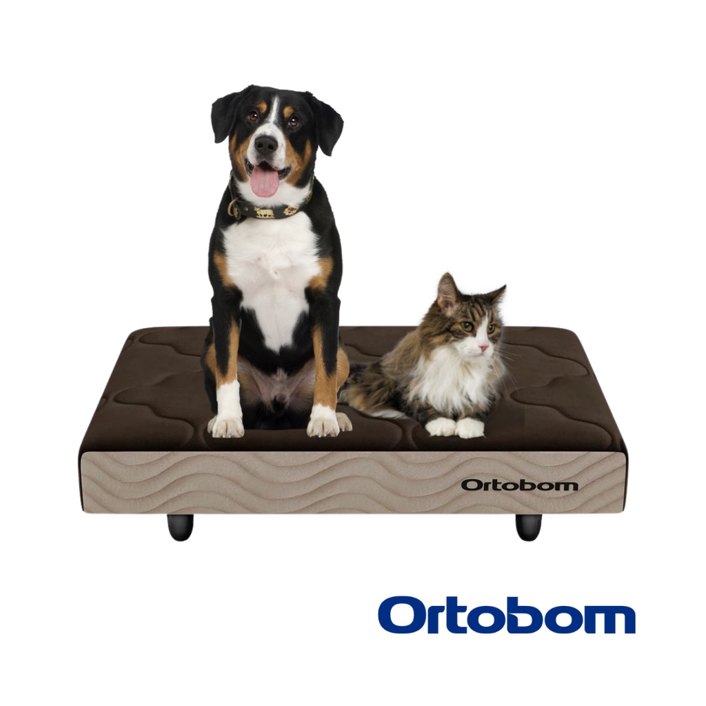 Cama Box Pet Cachorro Gato Caminha Porte Grande 100x80x13cm | Shopee Brasil