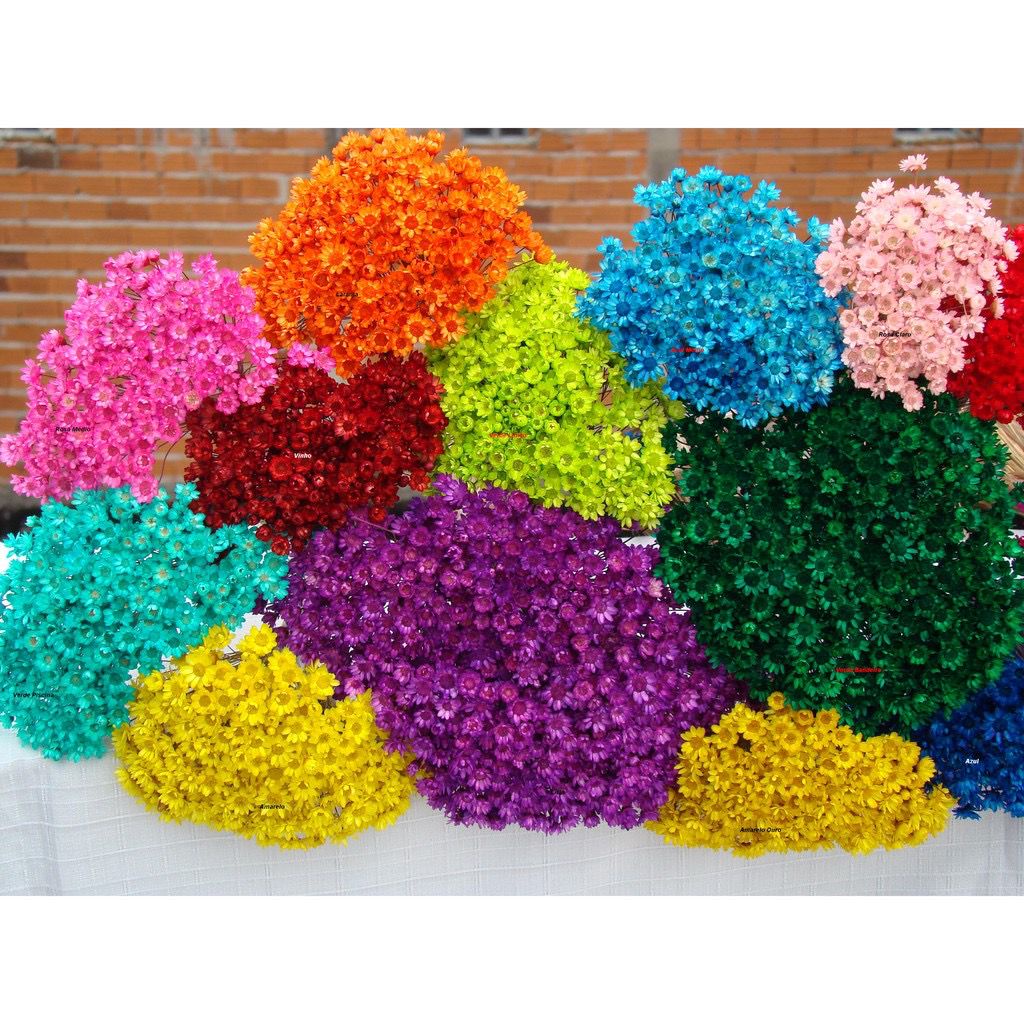 Flor sempre viva , kit com 1500 flores secas , Flores desidratadas ...