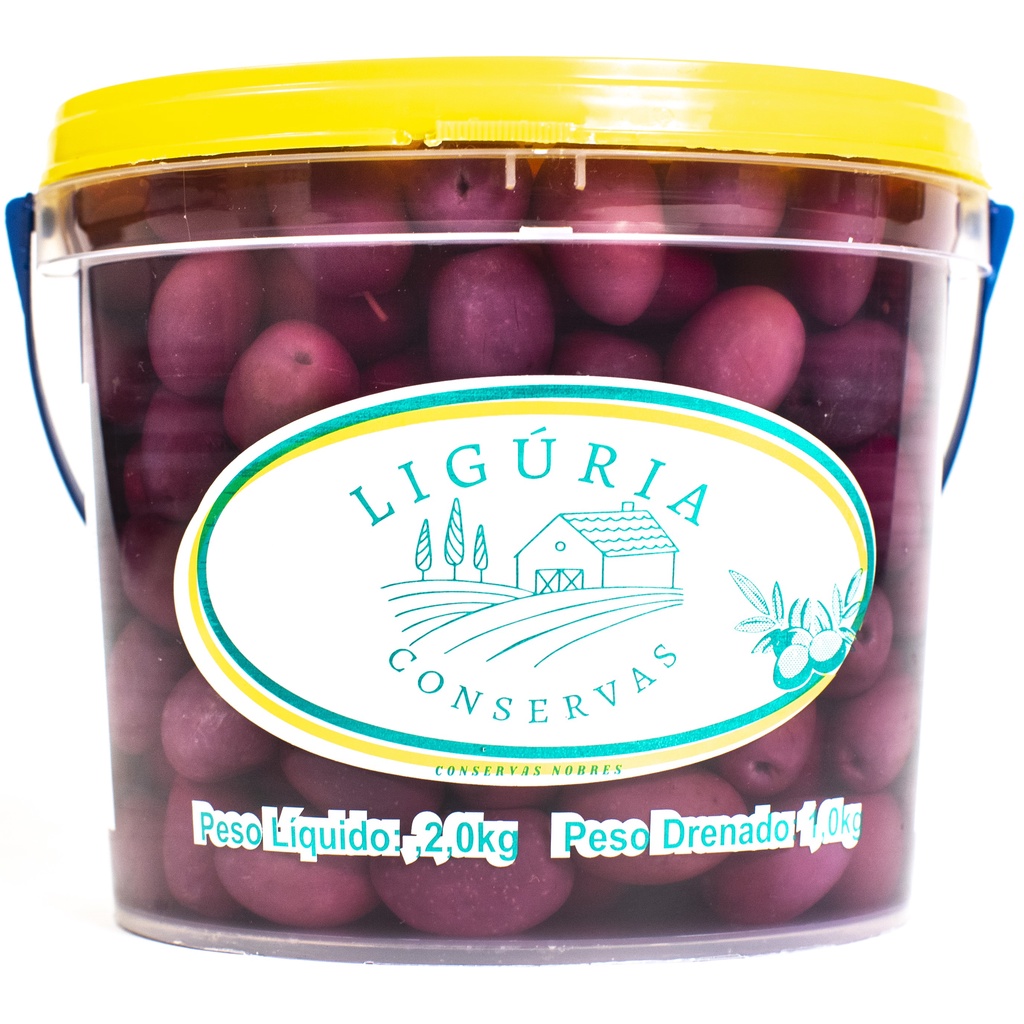 Azeitona Preta Azapa 16/20 (Balde de 1kg) Ligúria Conservas | Shopee Brasil