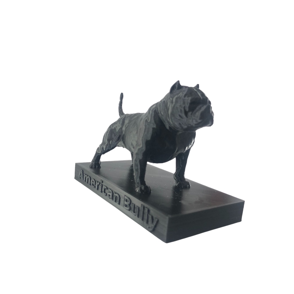 American Bully XL Nome Personalizado | Shopee Brasil