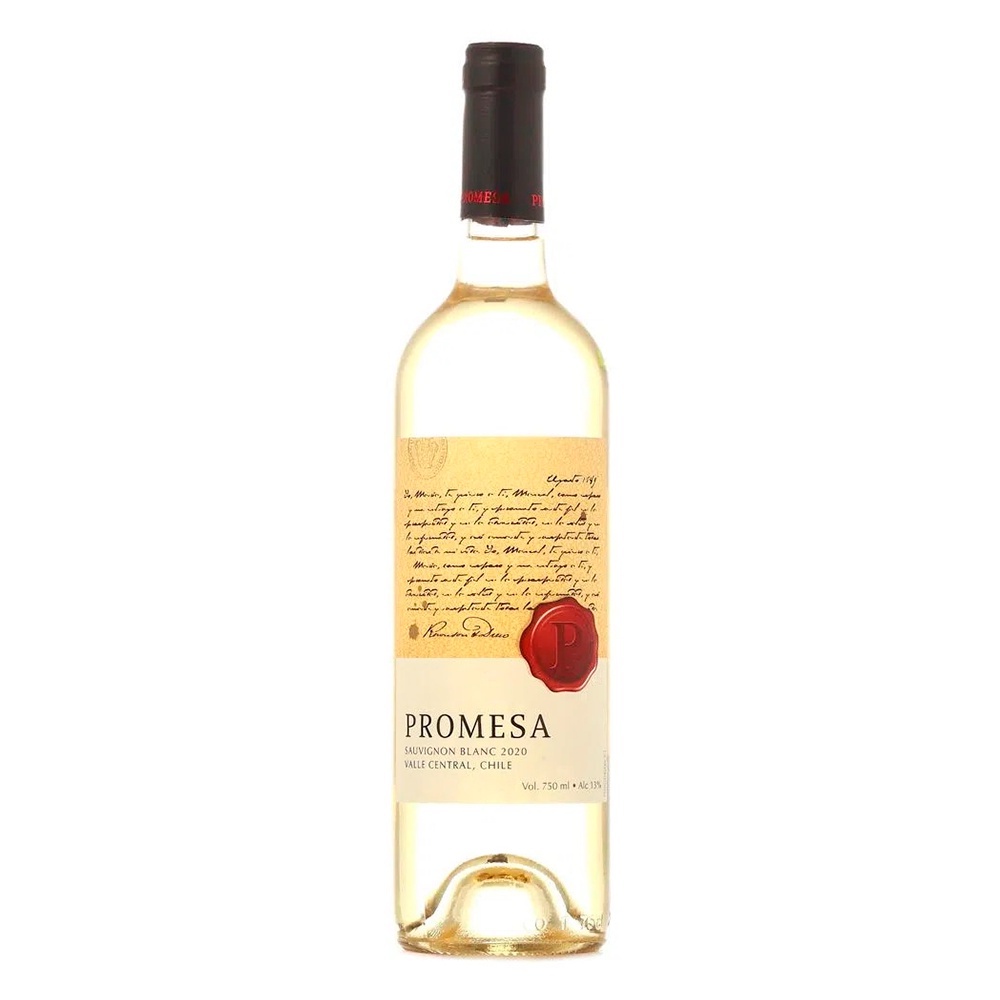 Vinho Promesa Sauvignon Blanc Seco 750ml | Shopee Brasil