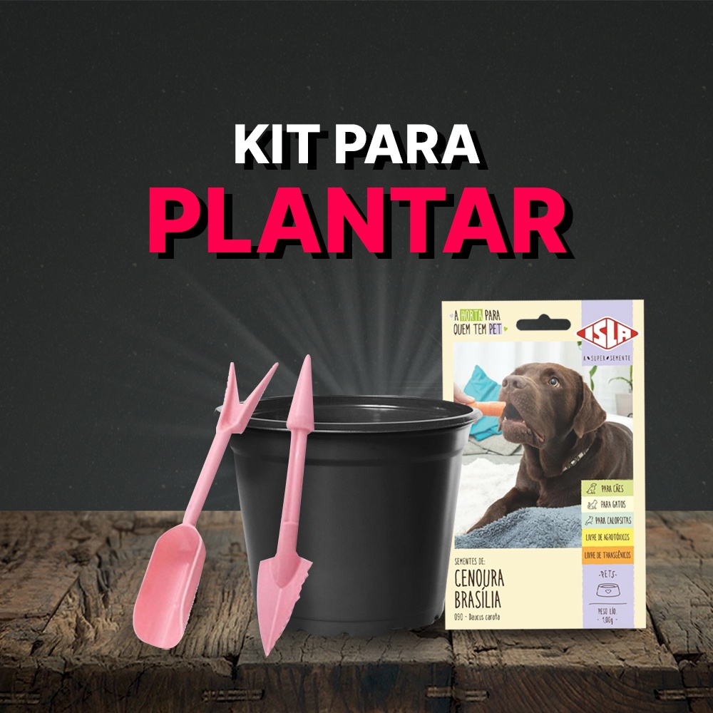 Kit para Plantar - 1xSemente 1xKit Hagra e 1xVaso | Shopee Brasil