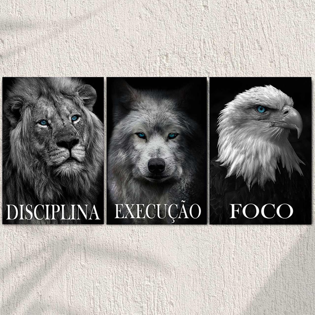 Kit Quadros Decorativos Disciplina Execução Foco Leão Lobo Aguia ...