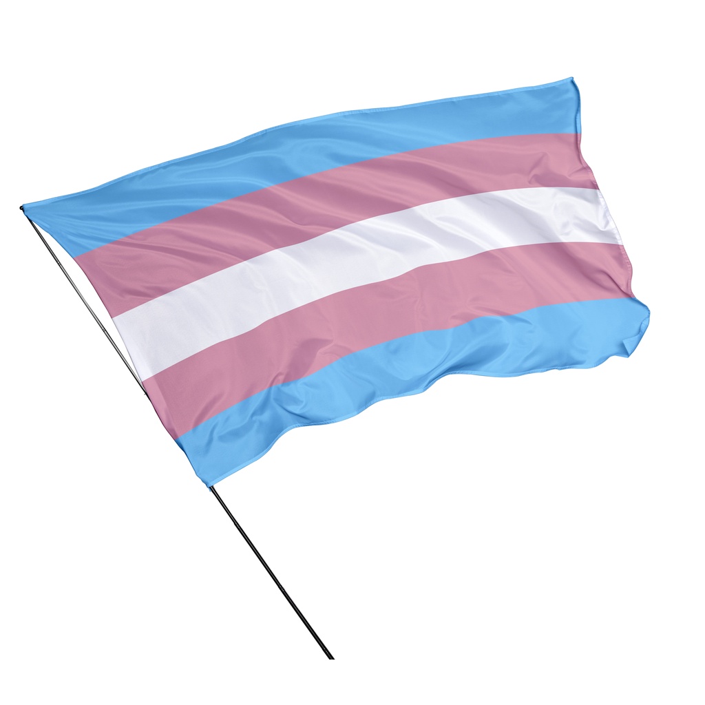 Bandeira Transgenero Orgulho LGBTQIA+ 1,0m X 70cm Em Tecido Costura em ...