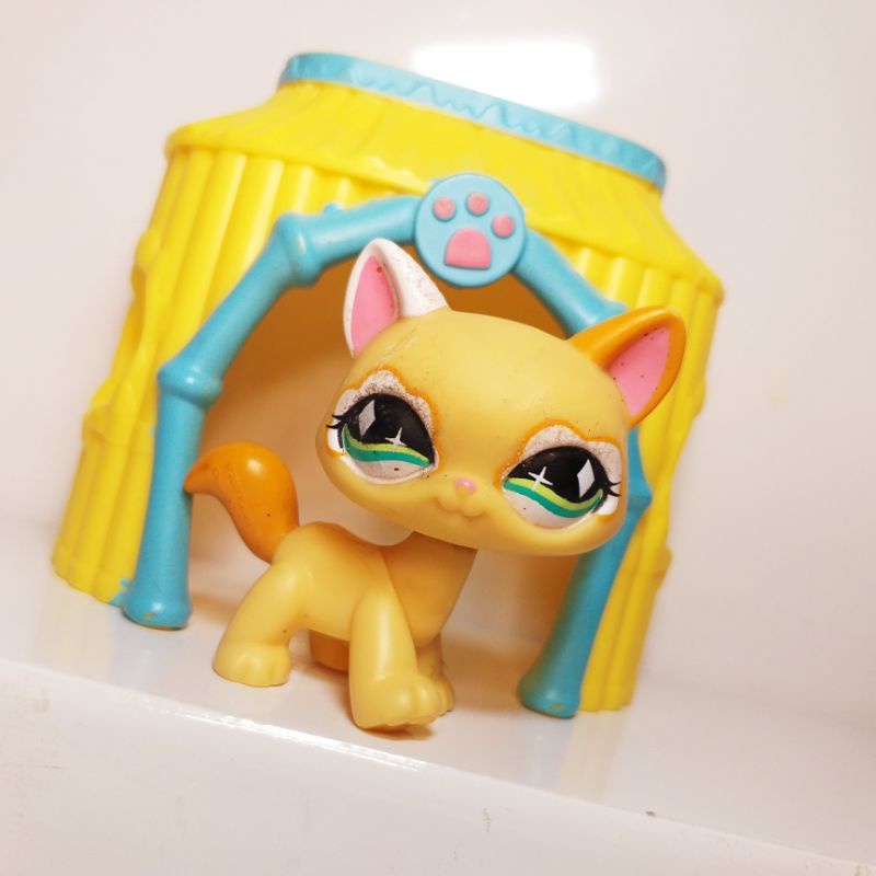 Littlest Pet Shop Destiny cat | Shopee Brasil