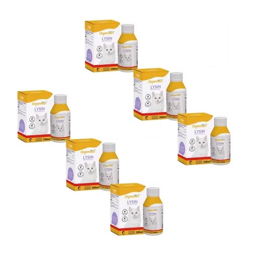 6 Lysin Cat 100ml Suplemento | Shopee Brasil