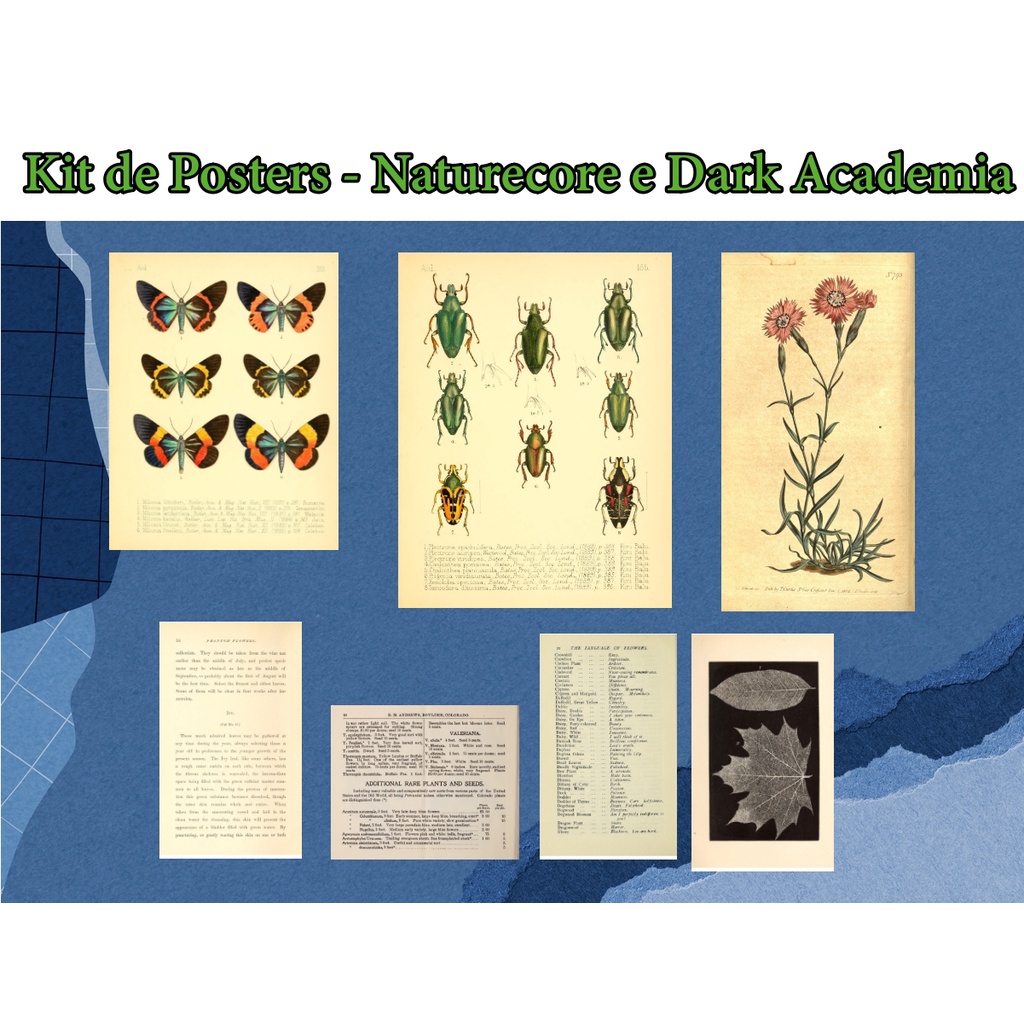 Kit de Posters - Naturecore e Dark Academia | Shopee Brasil