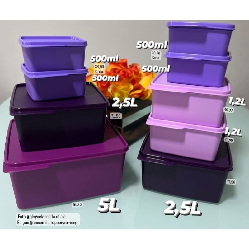 BASIC LINE TUPPERWARE | Shopee Brasil