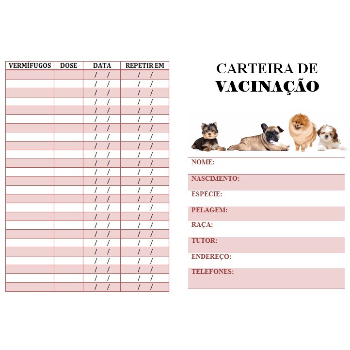 Cartão ou Carteirinha De Vacina Pet Personalizada Com 100und | Shopee ...