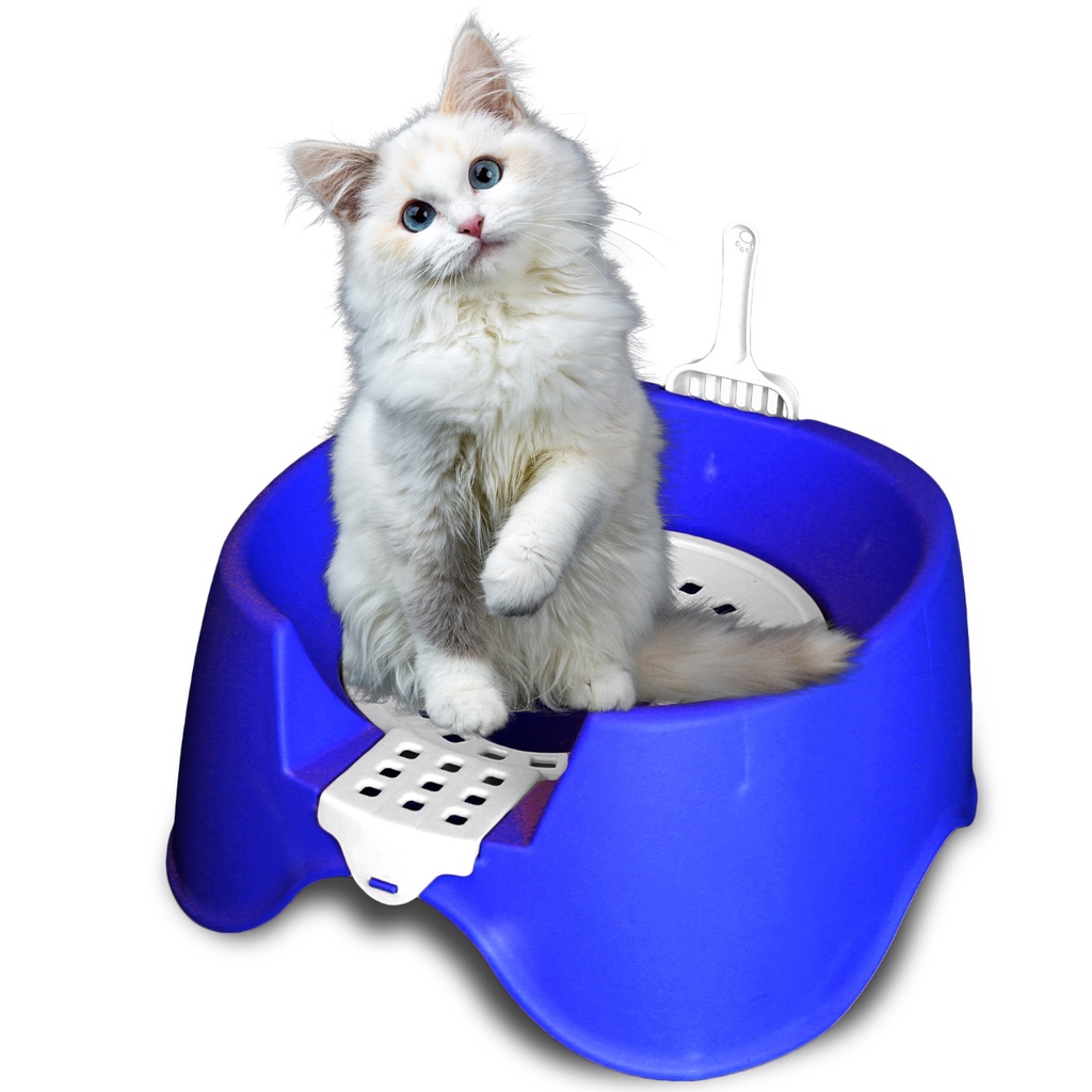 Caixa de Areia Banheiro Sanitário para Gatos com Pá Higiênica E ...