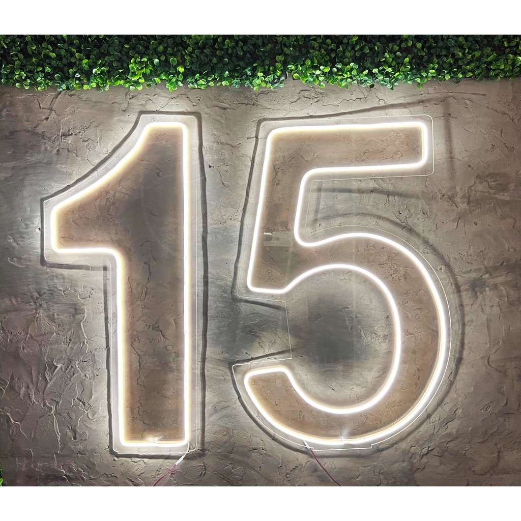 Número 15 Neon Led Em Acrílico Festa Aniversário 15 anos | Shopee Brasil