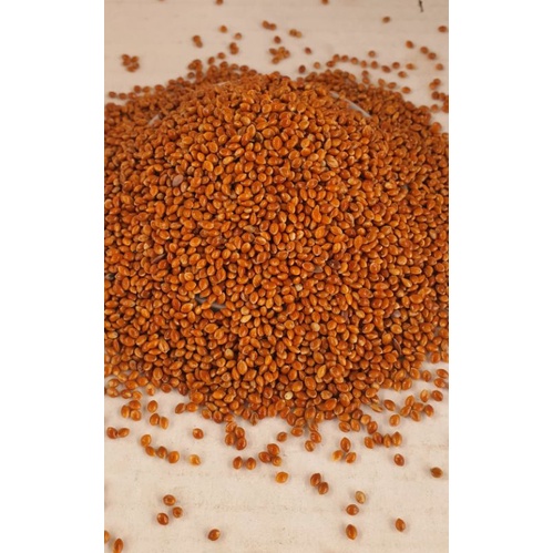 MILHO ALVO(PAINÇO) VERMELHO 200G | Shopee Brasil