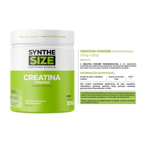CREATINA SYNTHESIZE 300G (POTE) | Shopee Brasil