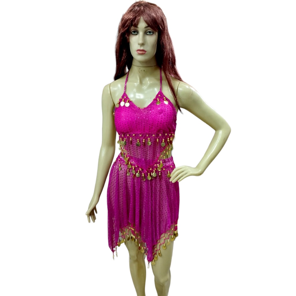 Fantasia Dançarina do Ventre Odalisca Cigana Saia C/ Moedas Carnaval ...