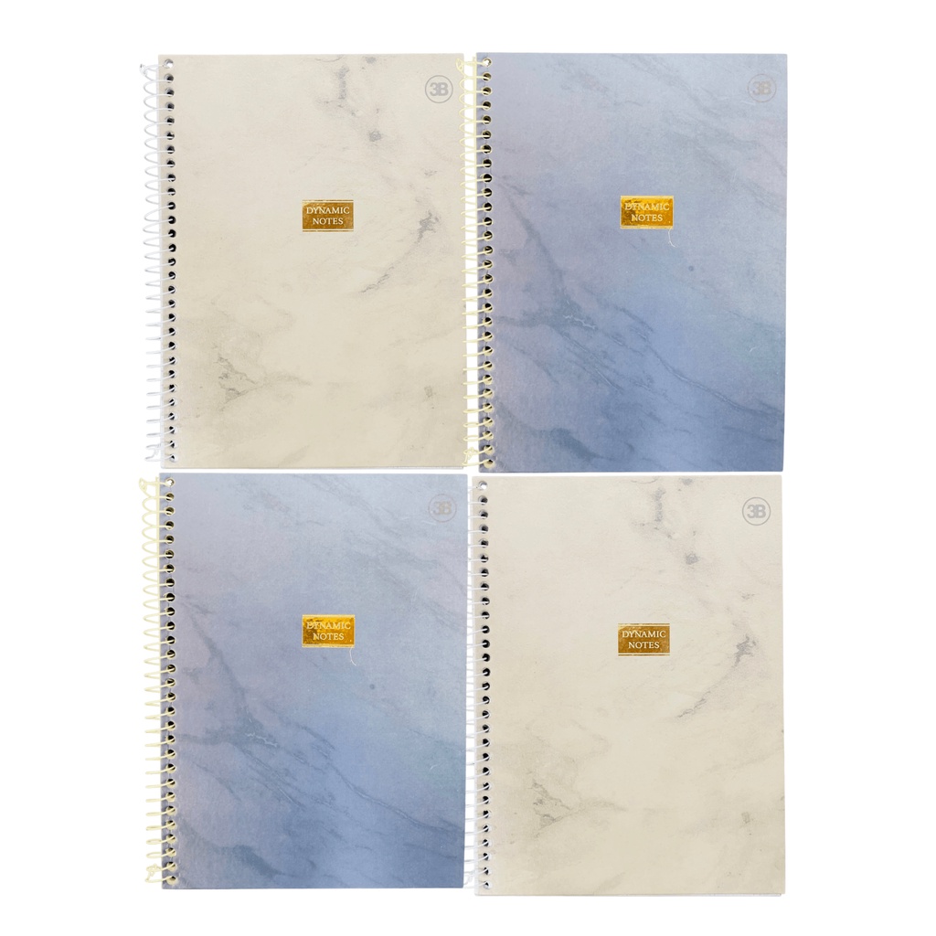 Caderno Universitário Escritório DYNAMIC NOTES 3B 80 Folhas | Shopee Brasil