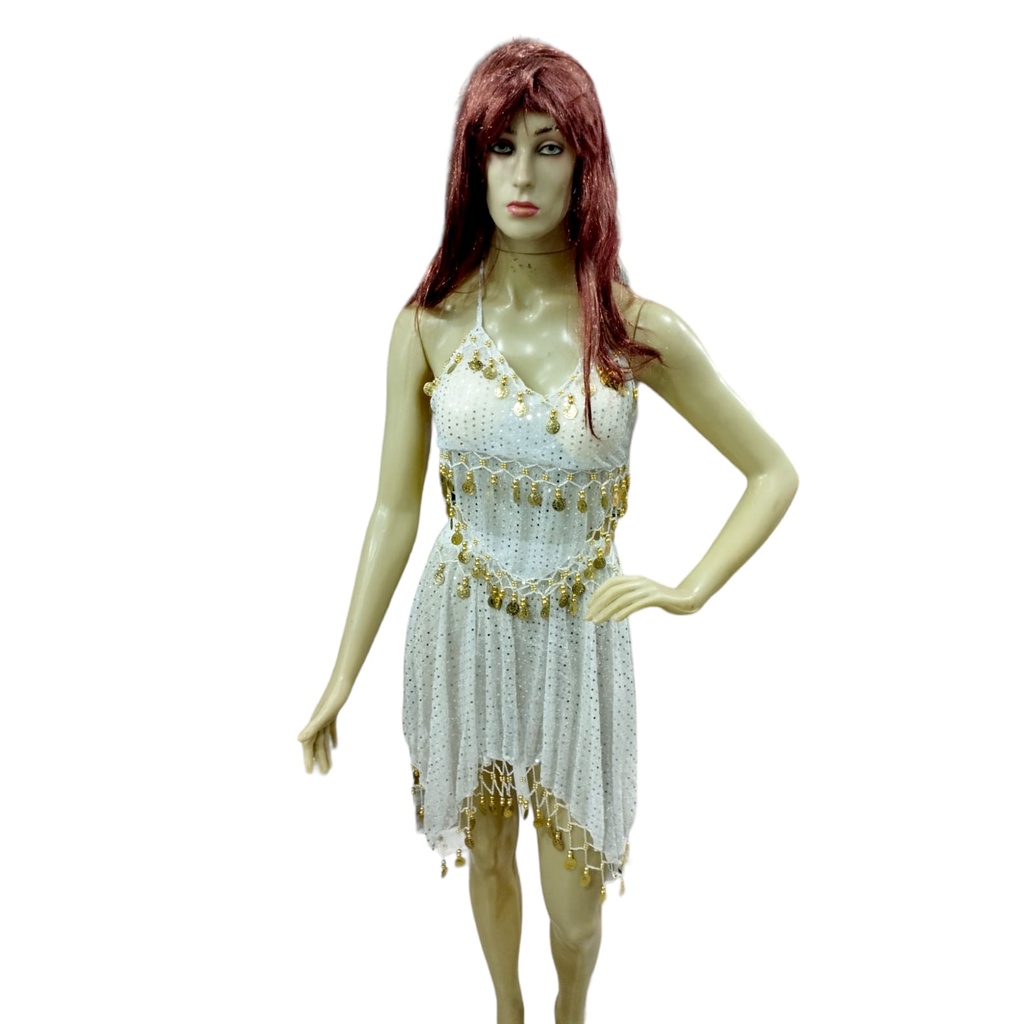 Fantasia Dançarina do Ventre Odalisca Cigana Saia C/ Moedas Carnaval ...