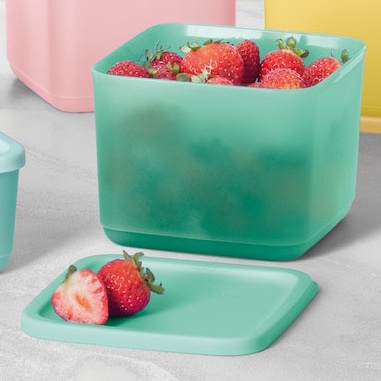 Tupperware Refri Line Quadrada 1 Litro Pote para Geladeira | Shopee Brasil
