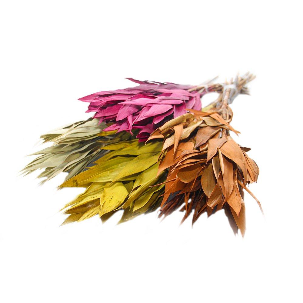 Folha Navalha Capim Navalha Buque Flores Secas | Shopee Brasil
