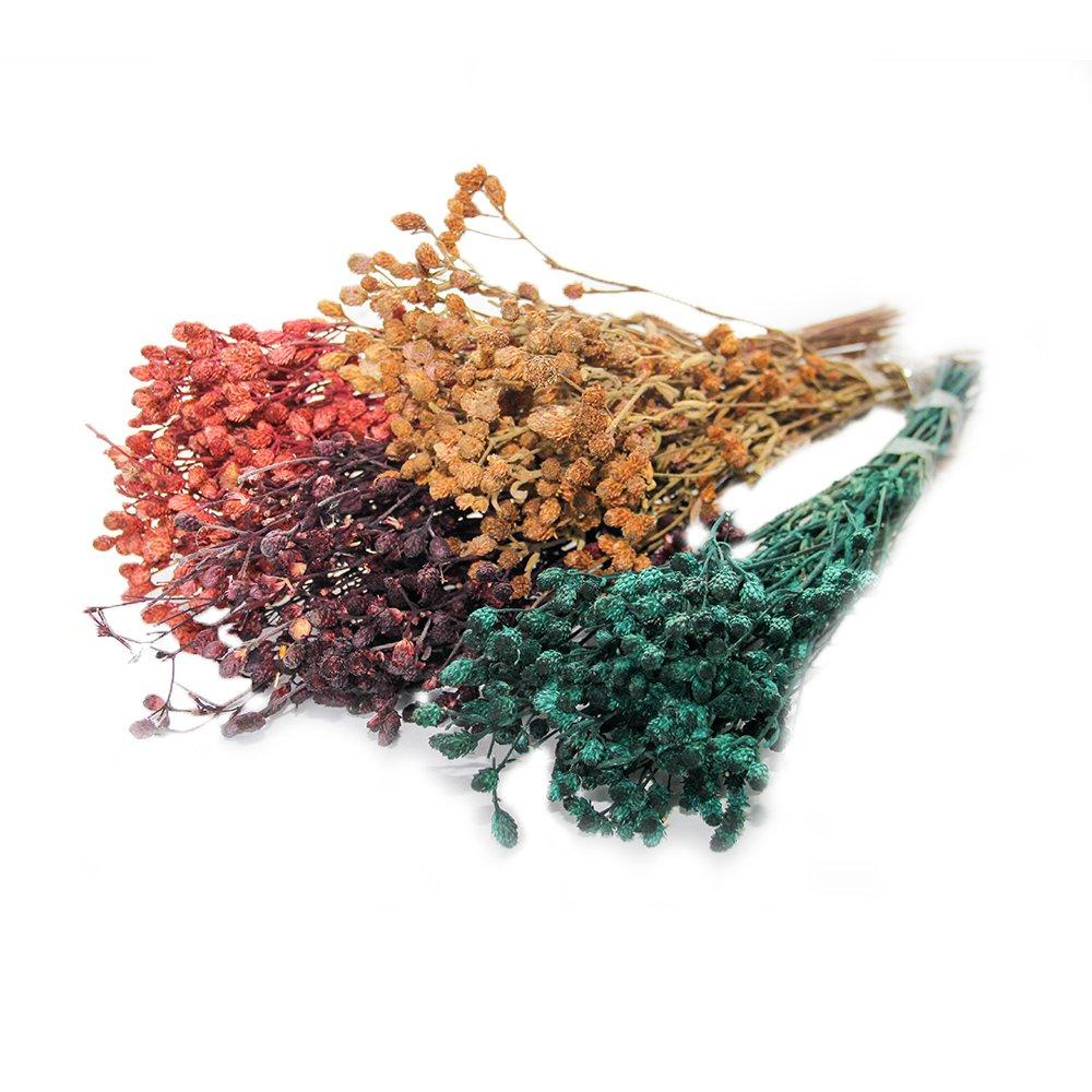 Ramo Roxo Flor Desidratada Buque Flores Secas | Shopee Brasil