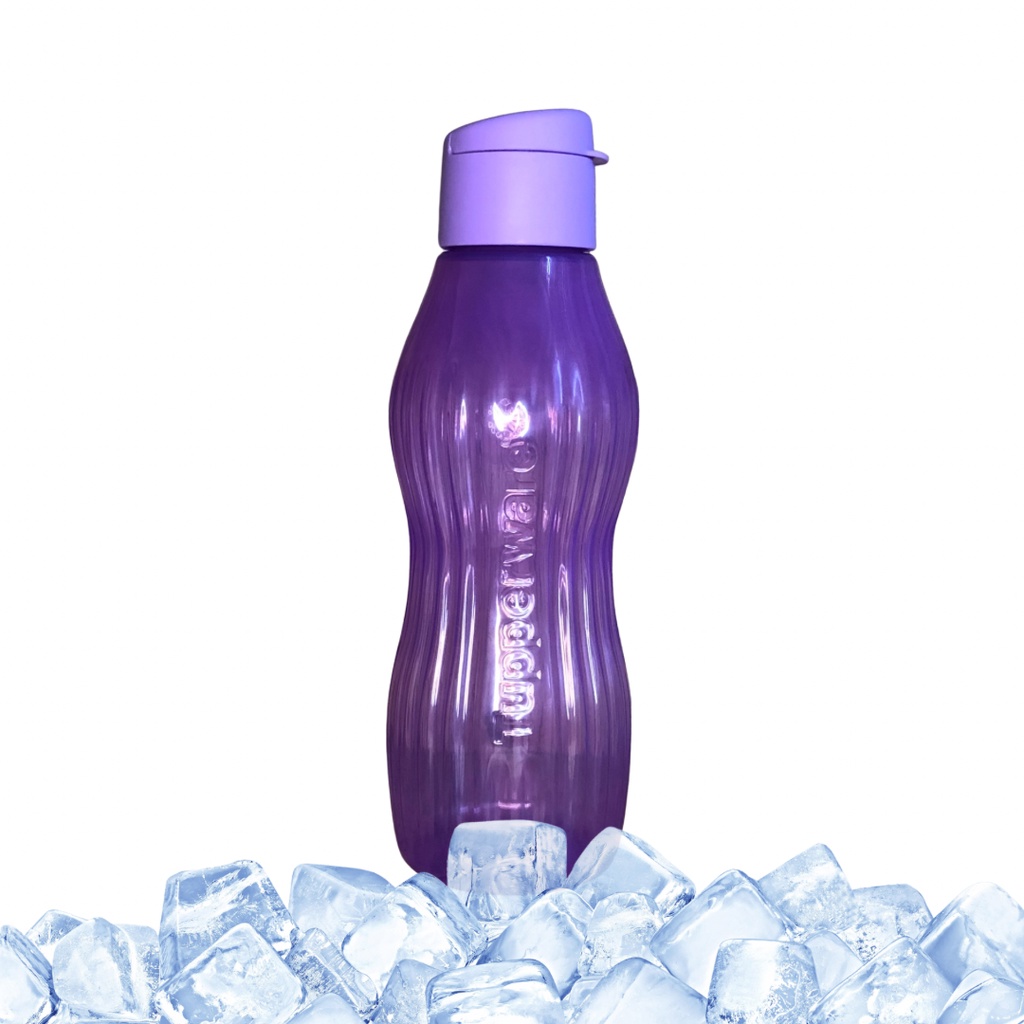 Garrafa Tupperware Freezer 750ml Roxa Original Nova Eco Ótima Vedação ...