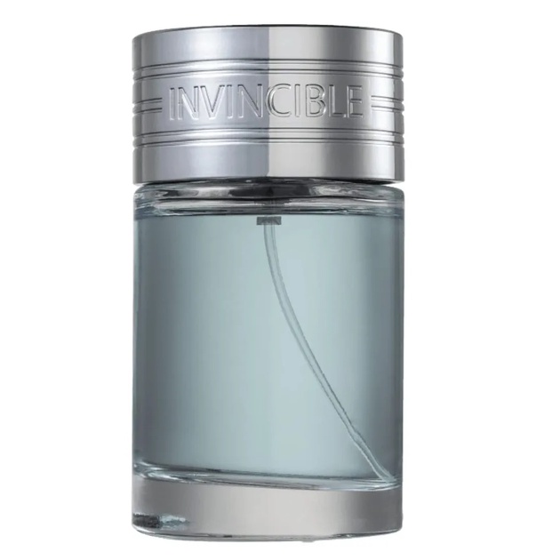 Perfume New Brand Prestige Invincible for men 100mL | Shopee Brasil