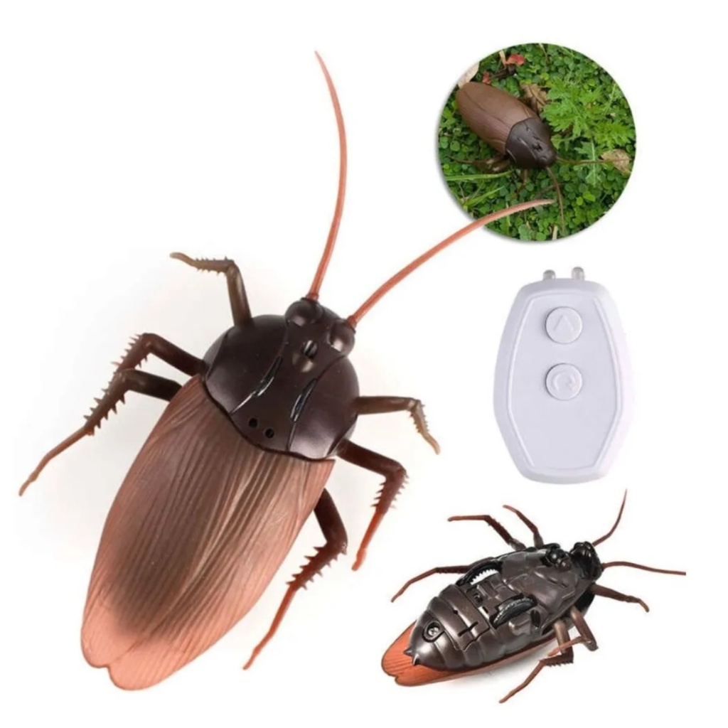 Barata Gigante de Brinquedo Realista Controle Remoto Giant Roach ...